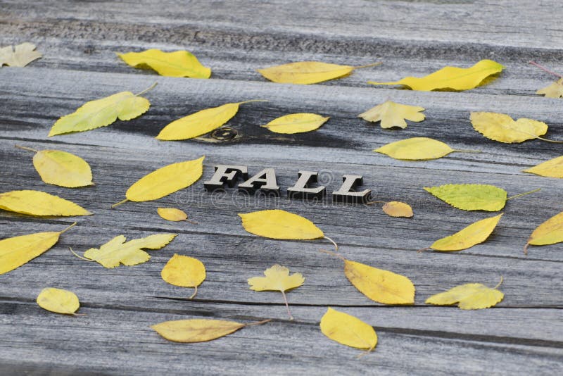 Inscription Fall on a Wooden Background, Frame of Yellow Leaves Stock ...