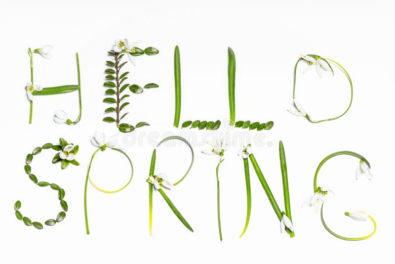 The Inscription of Fresh Green Leaves on a White Background Hello ...