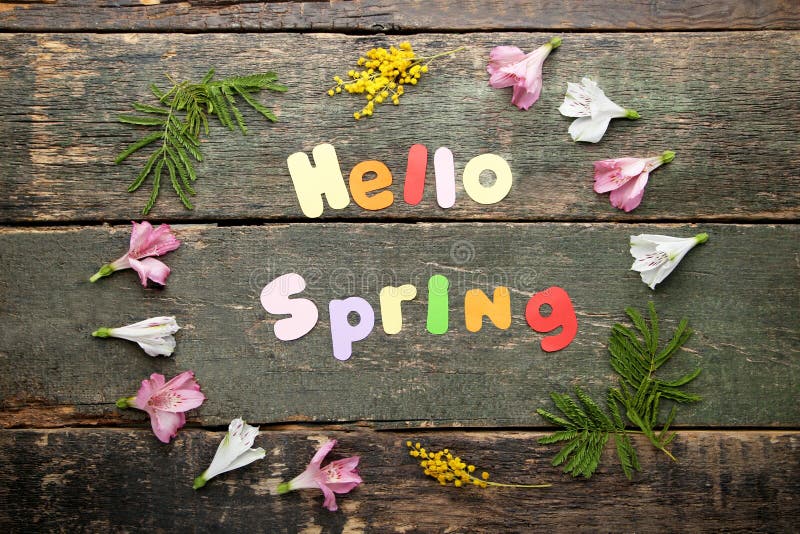 Hello Spring with flowers stock image. Image of design - 112977771