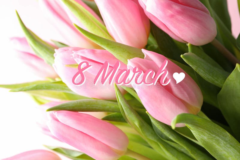 Inscription 8 March on Tulips Background Stock Photo - Image of blank ...