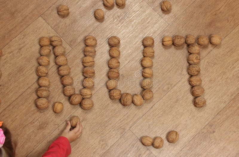 Inscription NUT on a Floor from Walnuts Stock Photo - Image of child ...