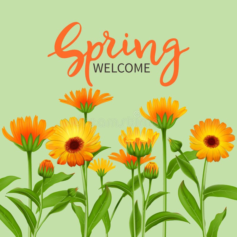 Welcome spring background stock vector. Illustration of garden - 108518255