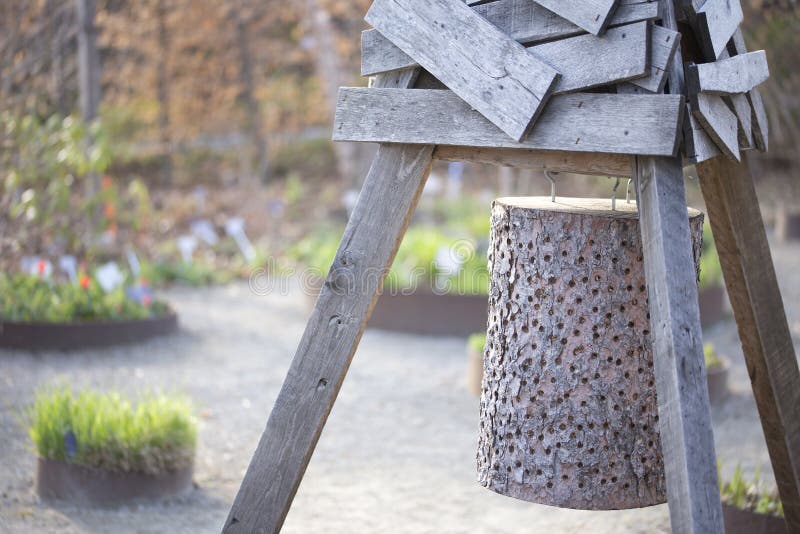 Insect Hotel in Log stock photo. Image of nature, tree - 58322332