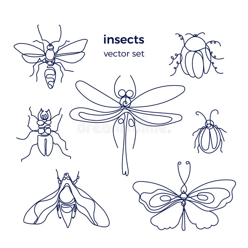 Simple Line Art Insect Collection Stock Illustrations – 2,063 Simple ...
