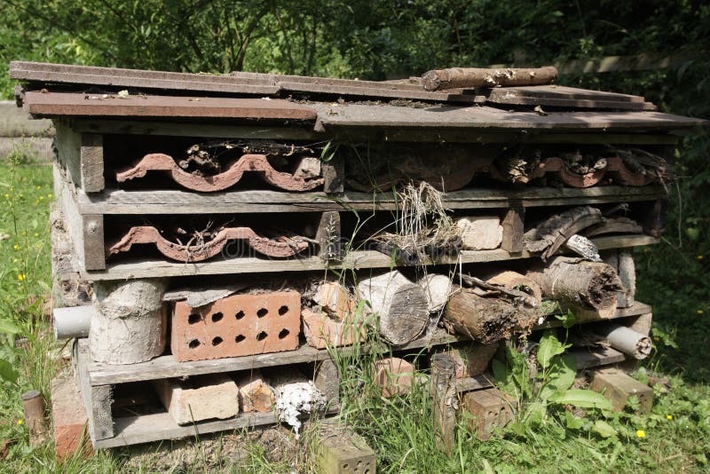 Insect breeding box stock image. Image of nest, breeding - 33092159