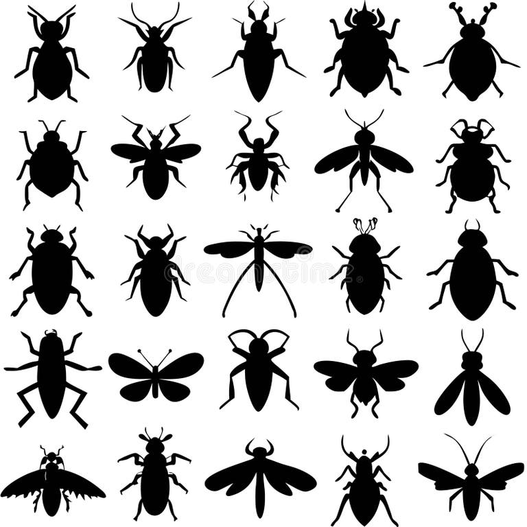 Insect Bug Icon Silhouettes Set Large Pack of Vector Stock Vector ...