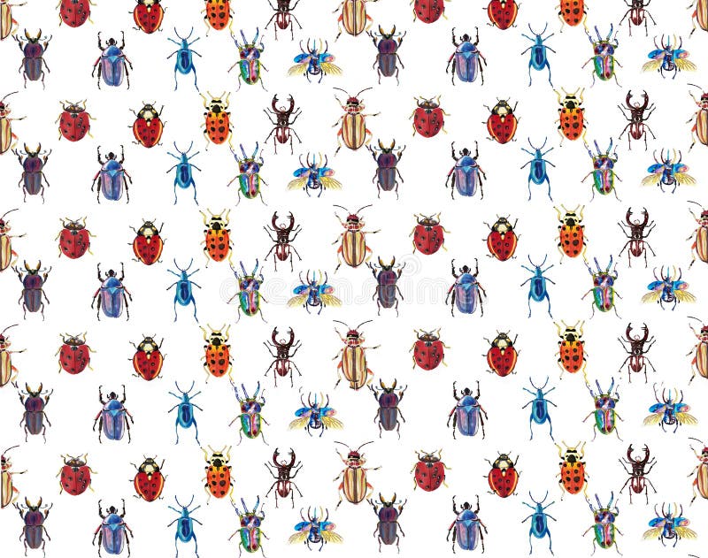 Insect and Bug Patterns for Cards and Fabrics Stock Illustration ...
