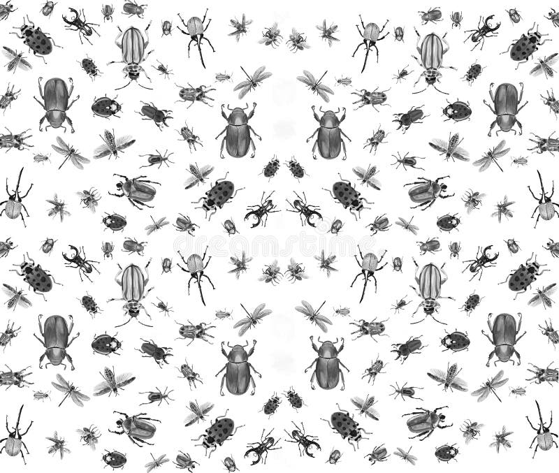 Insect and Bug Patterns for Cards and Fabrics Stock Illustration ...