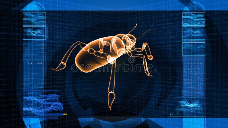 Insect Bug X-Ray Scan Technology Stock Footage - Video of data, beetle ...