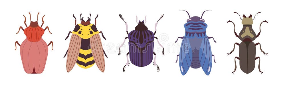 Insect Bugs and Beetle with Antenna and Multiple Legs Vector Set Stock ...