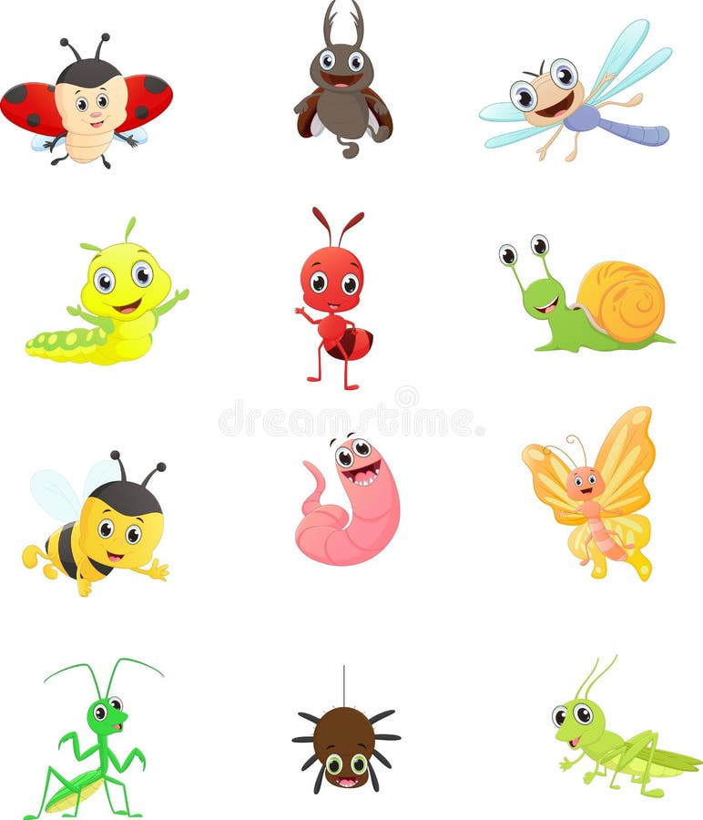 Insect cartoon collection stock vector. Illustration of macro - 73147251