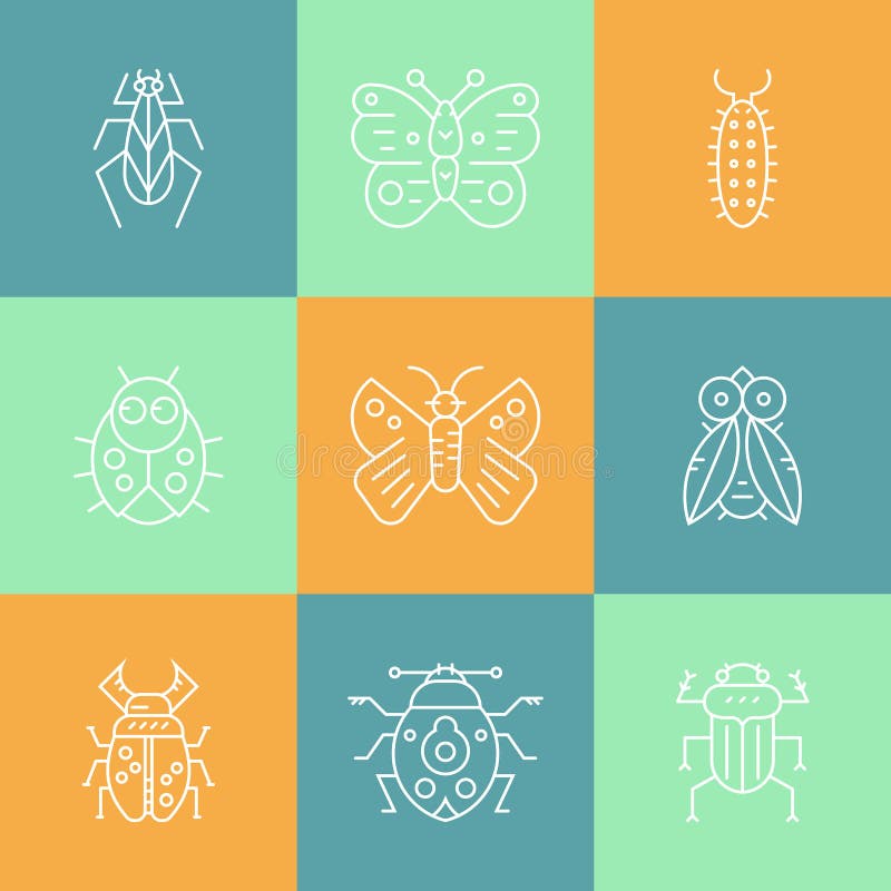 Insect Collection stock vector. Illustration of graphic - 58532331
