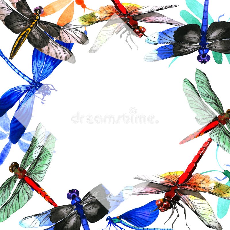 Dragonfly border / frame stock vector. Illustration of beautiful - 17320357