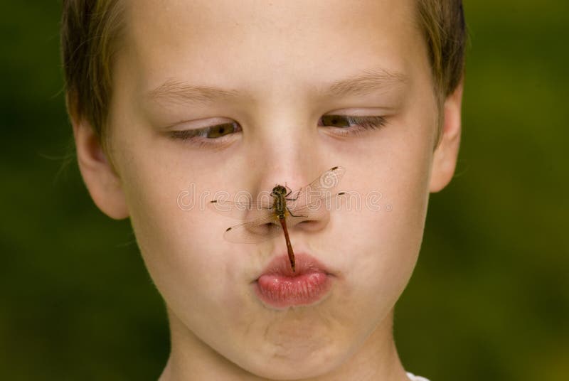 Insect on face stock photo. Image of child, wings, happy - 10409720