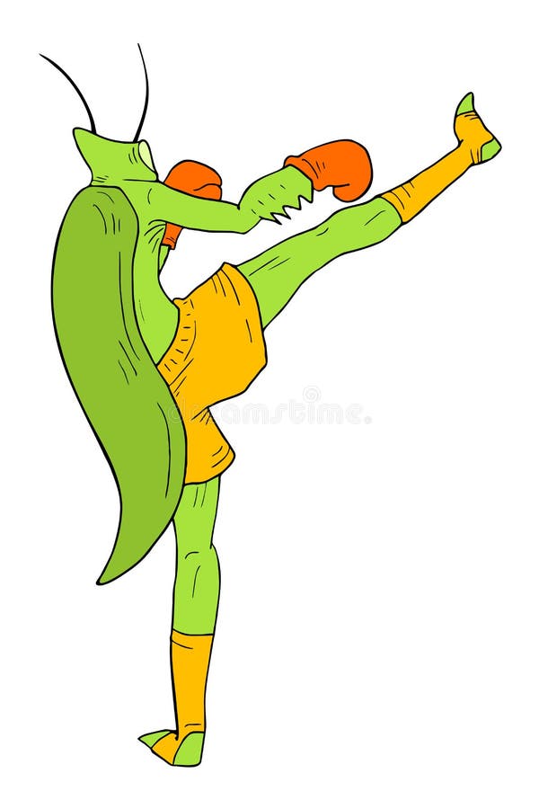 Insect Fighter Illustration Stock Vector - Illustration of boxing, draw ...