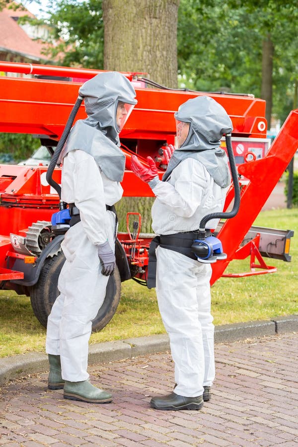 Insect Fighters in Work Clothes Have Work Meeting Together Stock Image ...
