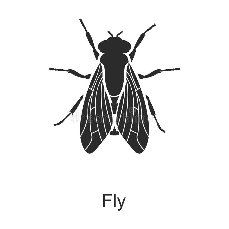Insect Fly Vector Icon.Black Vector Icon Isolated on White Background ...