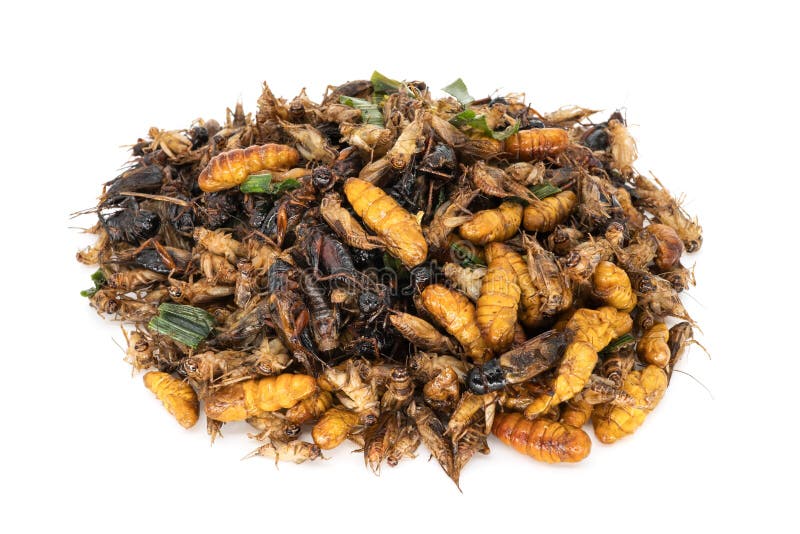 Insect food stock photo. Image of green, insects, market - 80176752