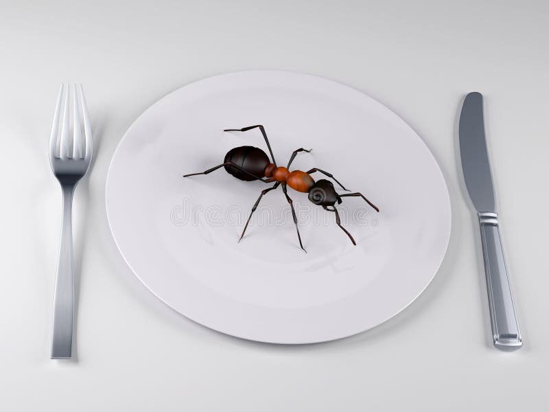 Insect Food on a Plate, the Future Food Concepts Stock Illustration ...