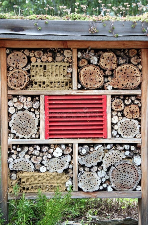 Craftsman Built Insect Hotel Decorative Wood House Stock Photo - Image ...