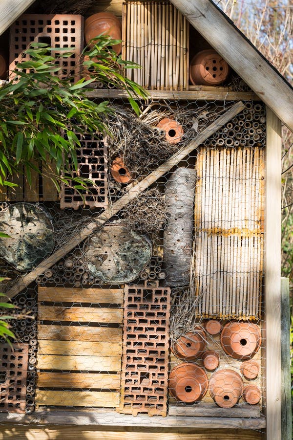 Insect hotel stock photo. Image of nest, environment - 15301672