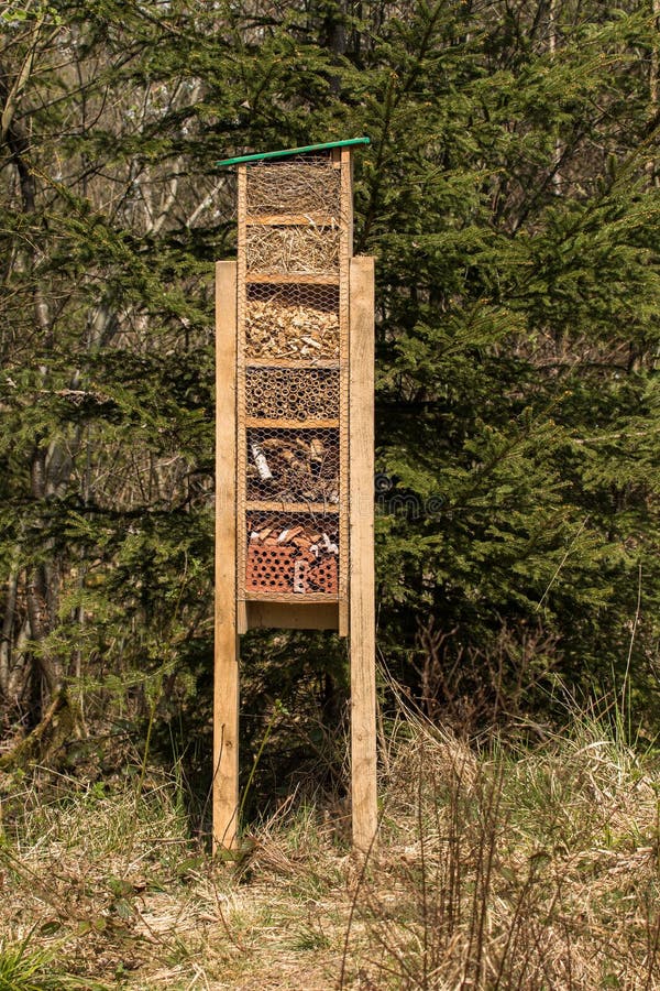 Insect Hotel, Bug Hotel, Insect House Stock Image - Image of wood ...