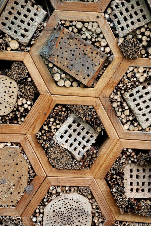 Insect hotel stock photo. Image of animals, space, habitat - 56574744