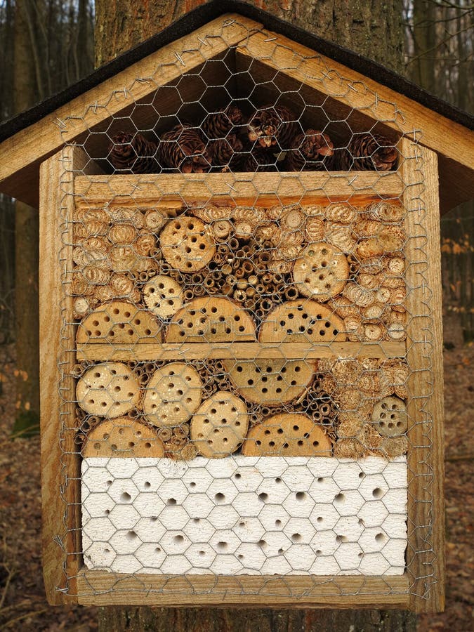 Insect Hotel stock image. Image of apiculture, home, dwelling - 24832773