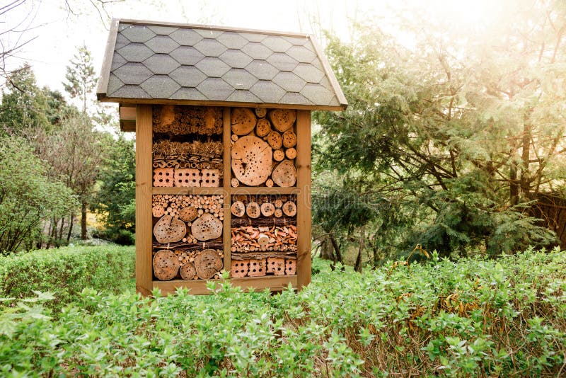 Insect hotel in garden stock image. Image of orchard - 121795321