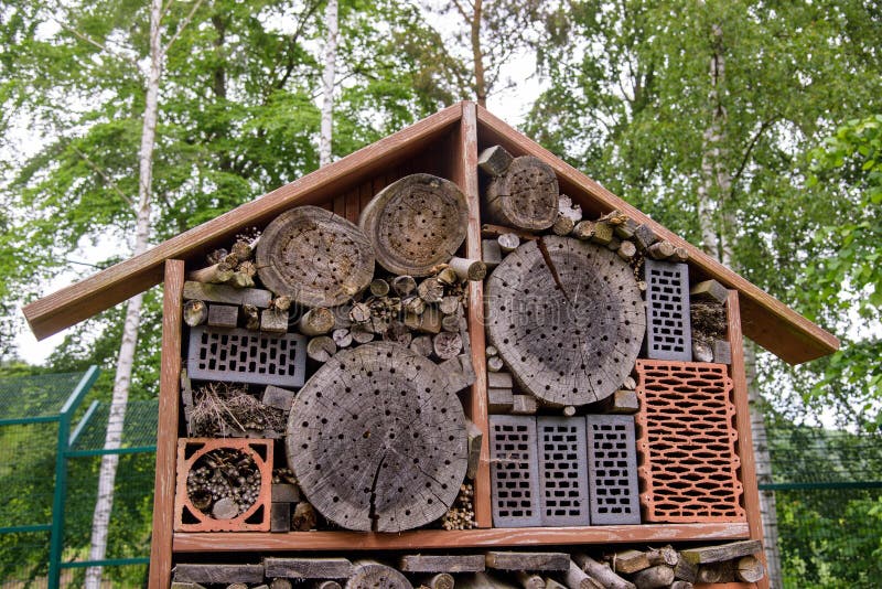 Insect hotel in garden stock photo. Image of environment - 153557142