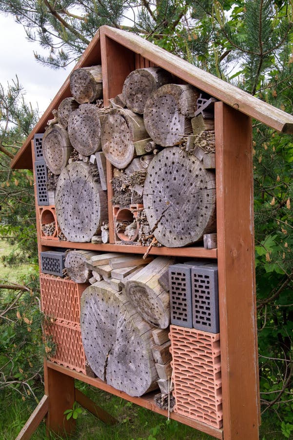 Insect hotel in garden stock photo. Image of conservation - 153557374
