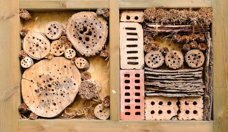 Insect hotel in garden stock photo. Image of natural - 54511264