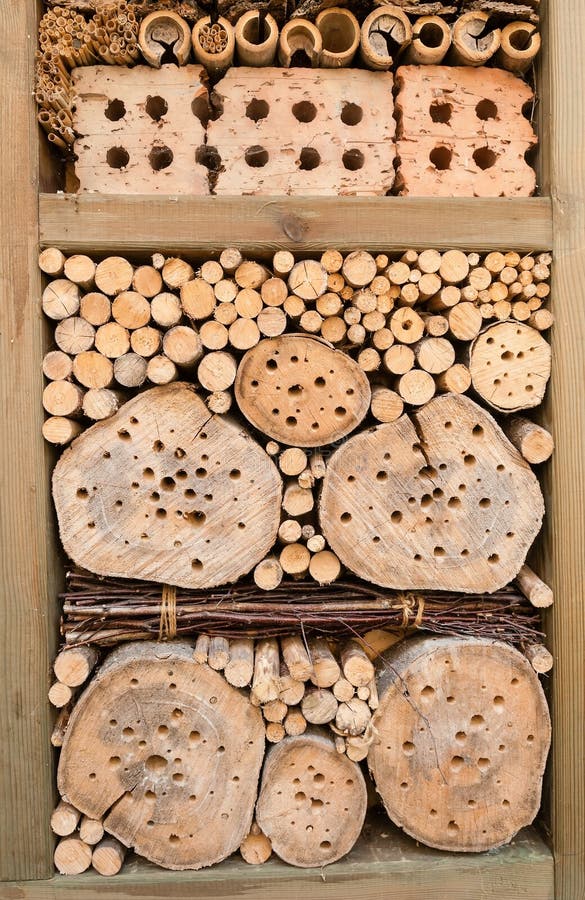 Insect hotel in garden stock image. Image of natural - 55764559