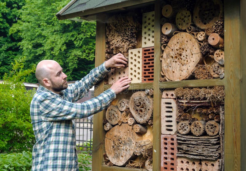 Insect hotel in garden stock photo. Image of agriculture - 55764586