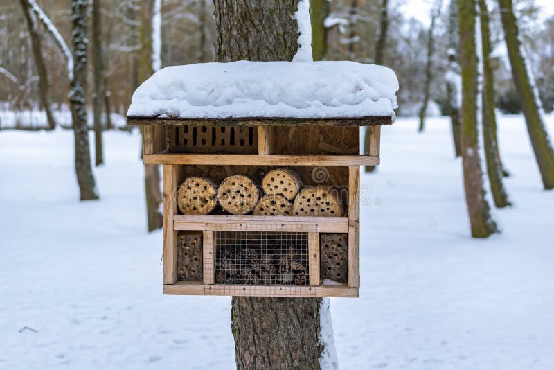 305 Insect Hotel Winter Stock Photos - Free & Royalty-Free Stock Photos ...