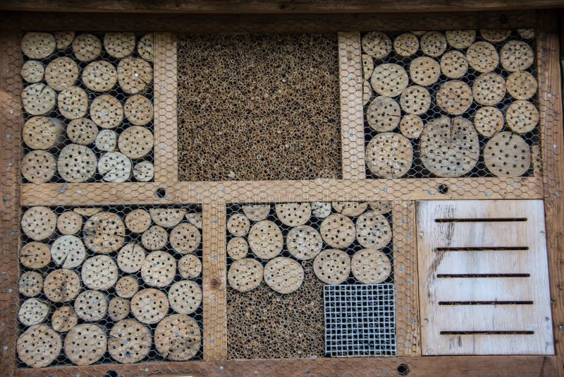 Insect hotel made of wood stock photo. Image of offspring - 187223078