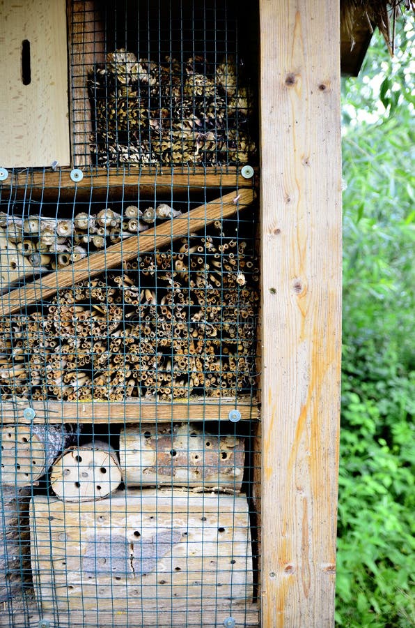 Insect Hotel in a Nature Sanctuary Stock Image - Image of home, area ...