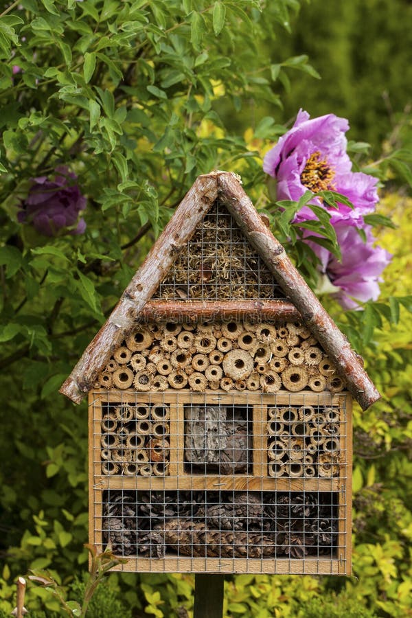 Insect hotel stock image. Image of beautiful, common - 93701011
