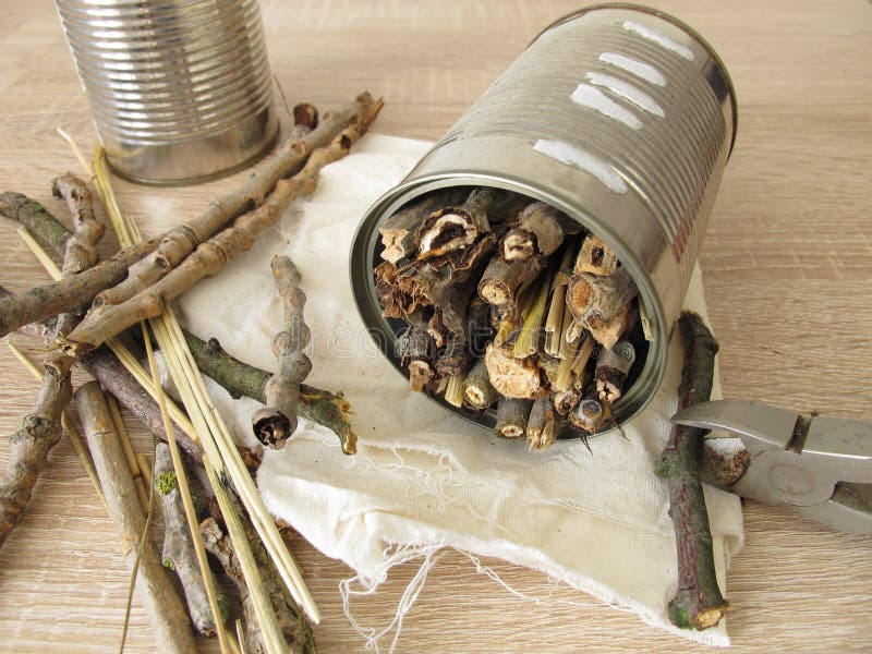 Homemade hotel for insects stock photo. Image of twigs - 49892396