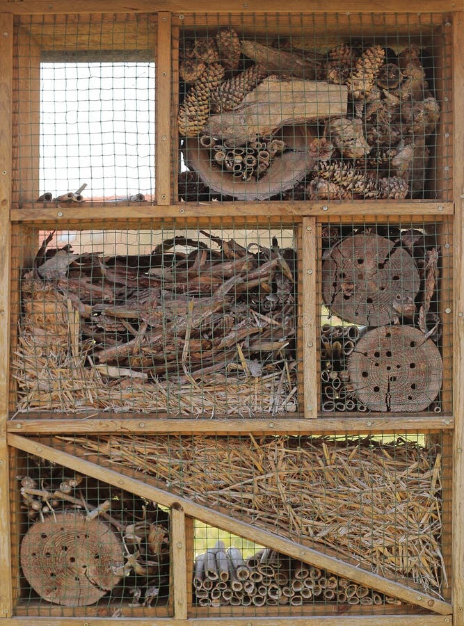 Insect Hotel with Various Materials Providing Shelter for Insects Stock ...