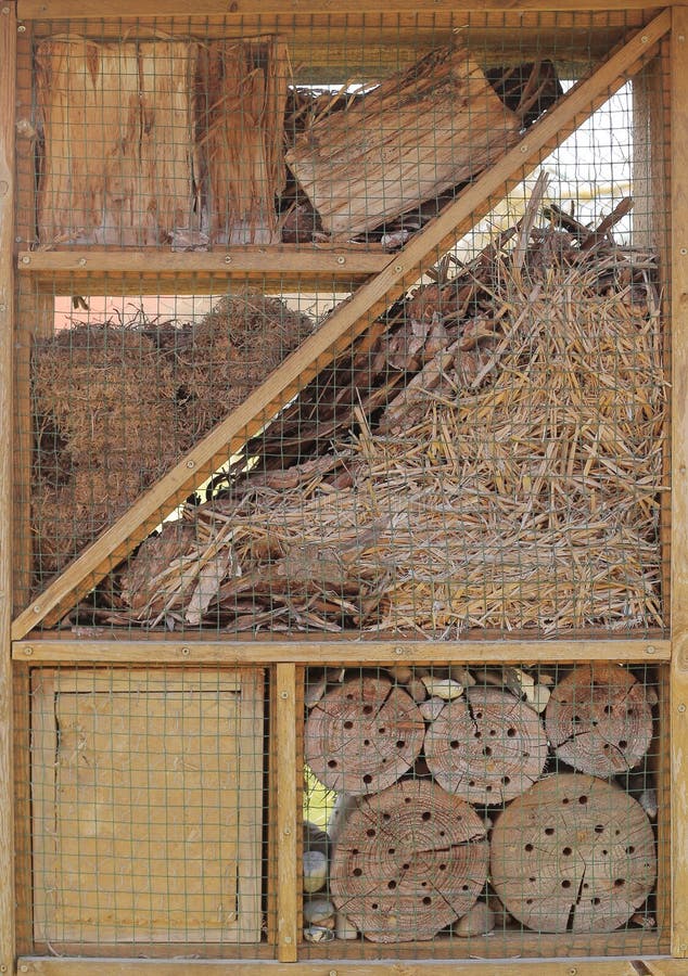 Insect Hotel with Various Materials Providing Shelter for Insects Stock ...