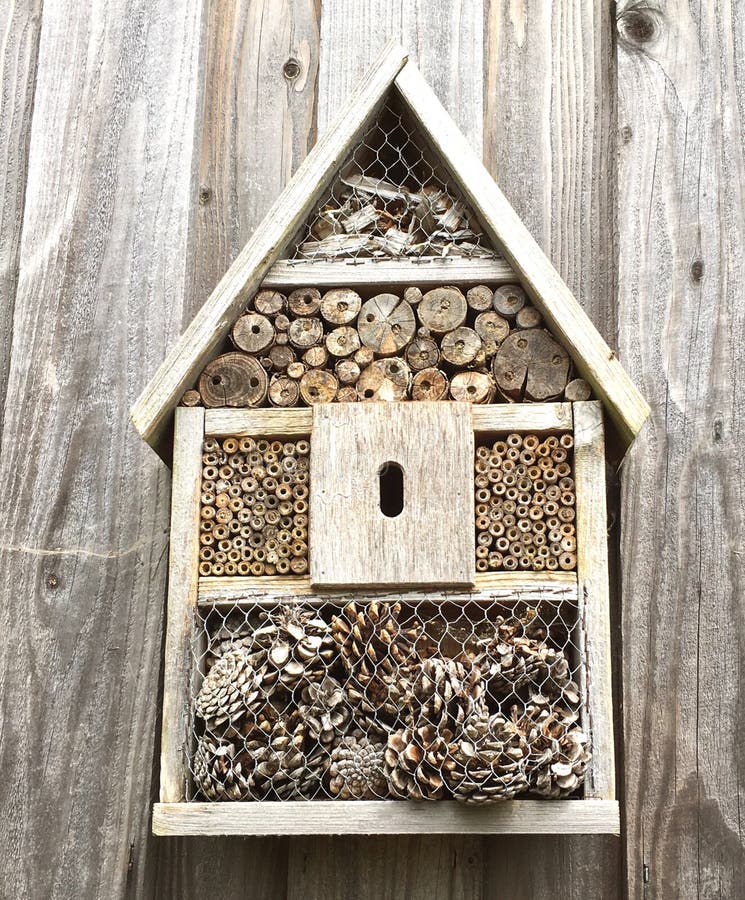 Insect Hotel stock image. Image of wall, nature, insects - 82251075