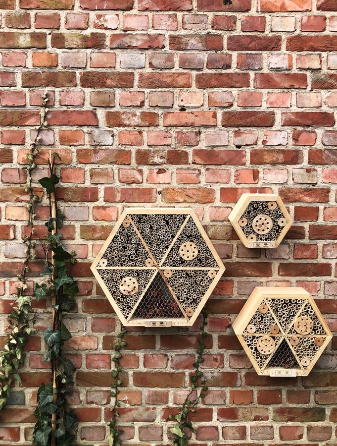 Insect hotel stock image. Image of nature, background - 215028885