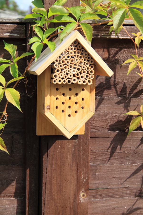 Insect house box stock image. Image of fence, garden - 16134865