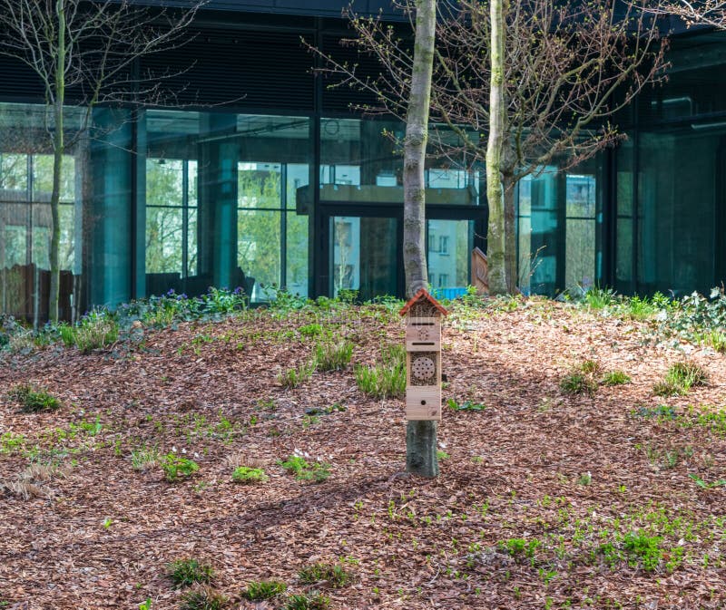 Insect House, Bug Hotel stock image. Image of hostel - 247689975