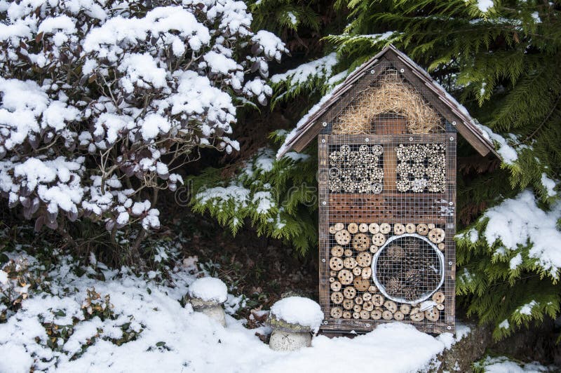 Insect house in winter stock photo. Image of hibernation - 103339426