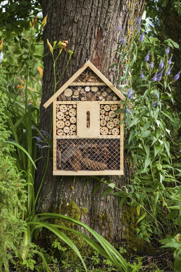 Insect house stock photo. Image of protect, environment - 84690362
