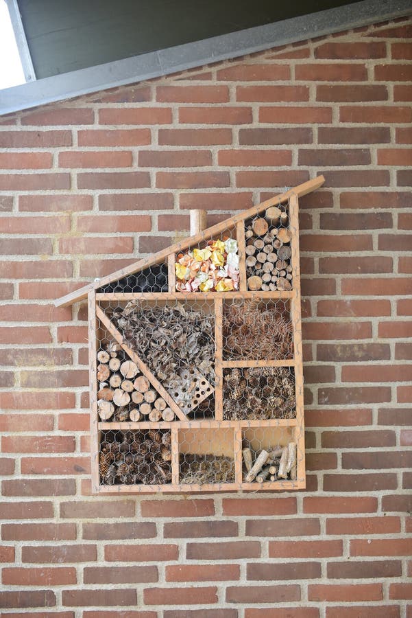 Insect House Hanging on a Building Stock Photo - Image of education ...