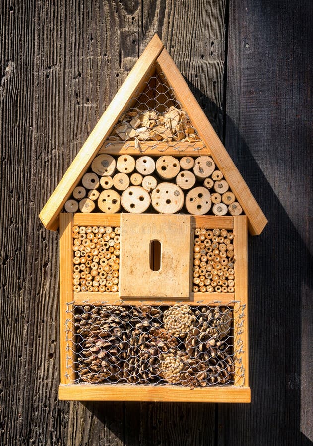 Insect house stock photo. Image of animal, protect, bamboo - 49962374