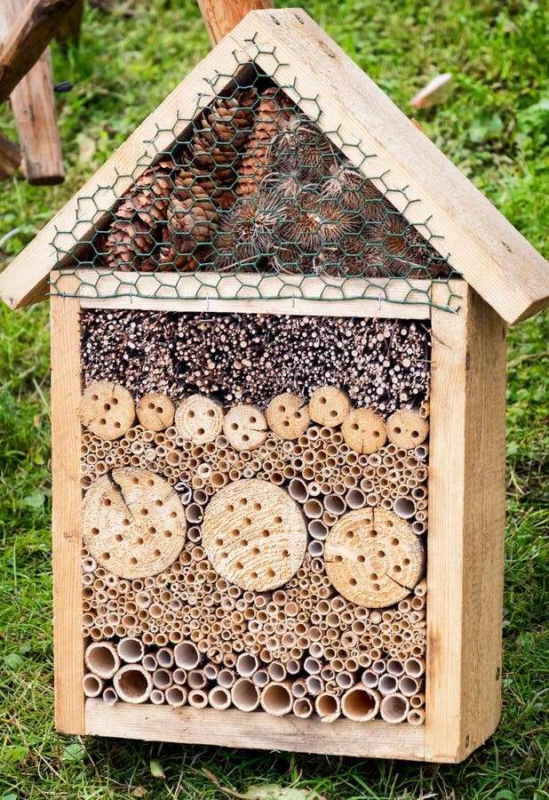 Insect house stock photo. Image of bees, miner, nature - 31243210